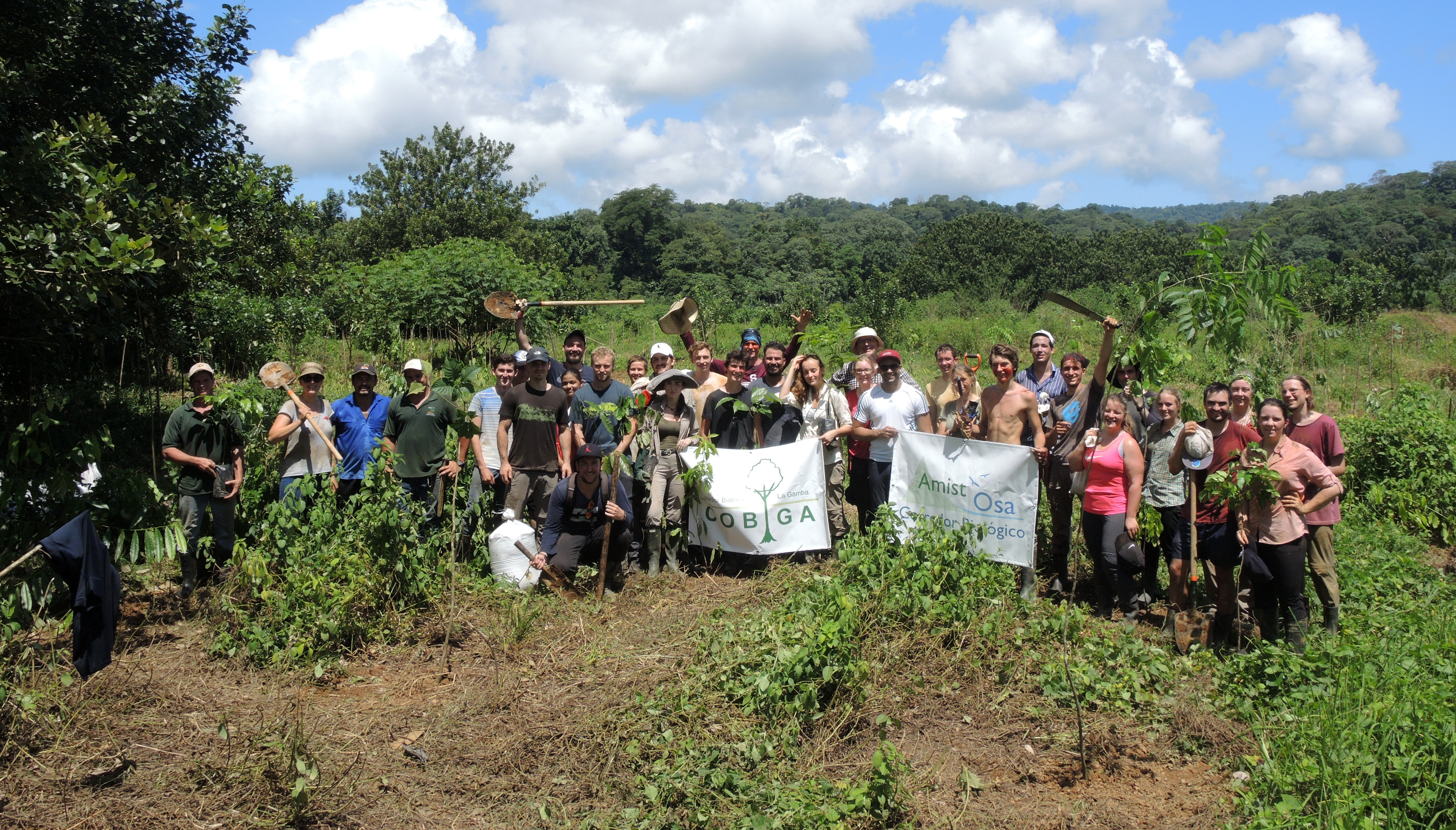 Projekte und wiss. Arbeiten