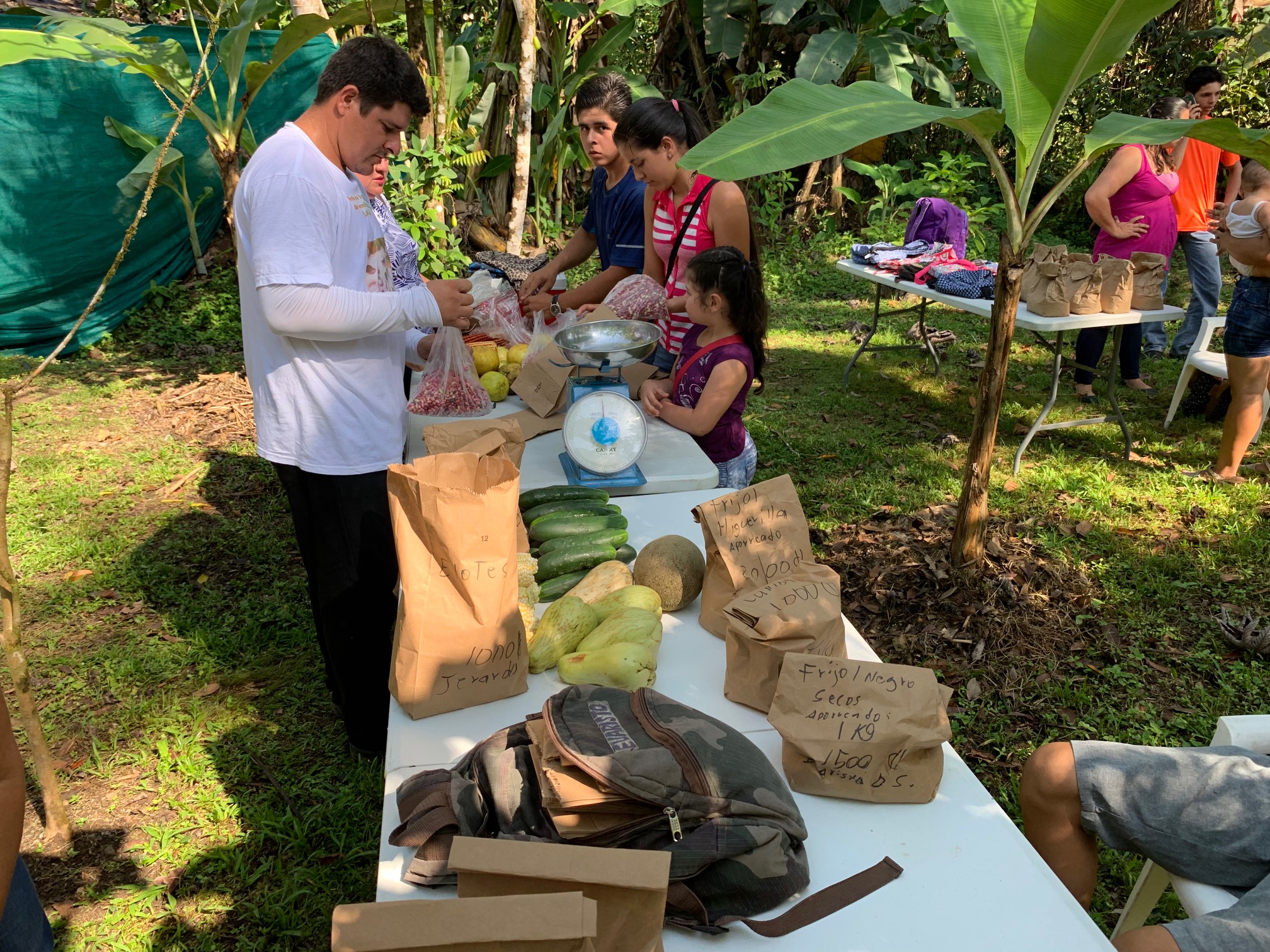 The model farm (Finca Modelo)