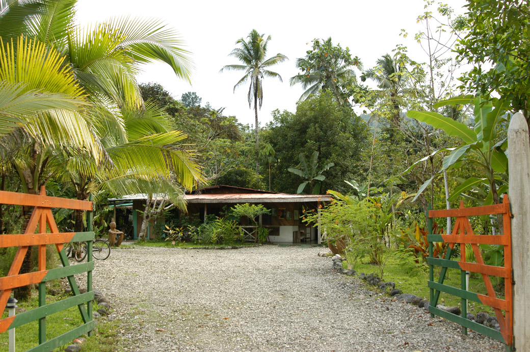 from simple beginnings...