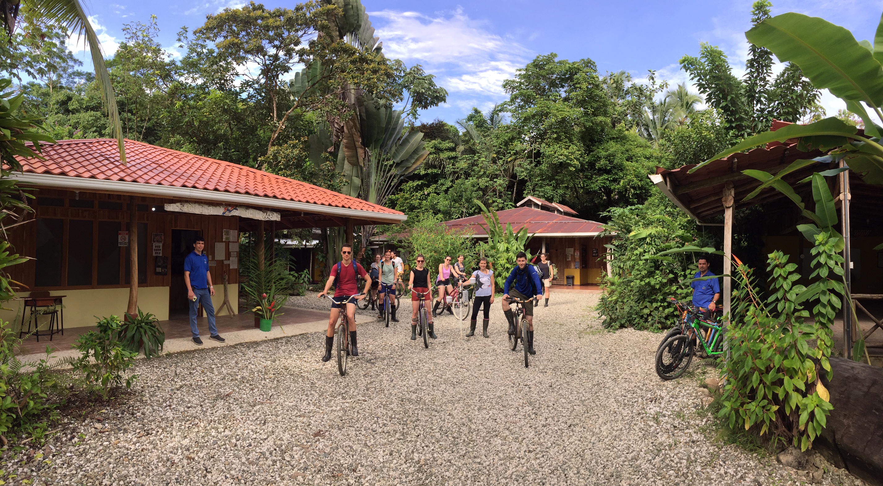 from simple beginnings...